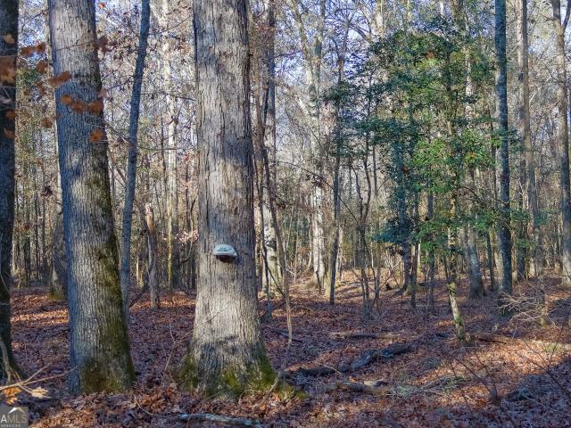 0 Limestone Road