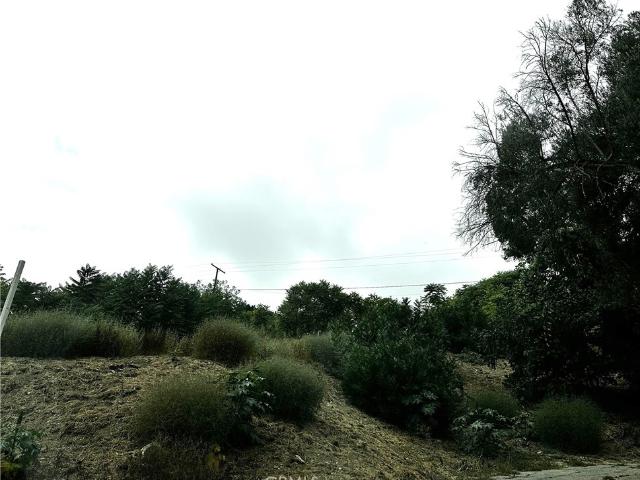 0 Lincoln Park Ave, Los Angeles, CA 90031 | MLS #IV25090