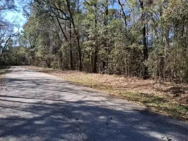 0 LIND STREET, SARALAND, AL 36571 Vacant Land For Sale MLS# 7.