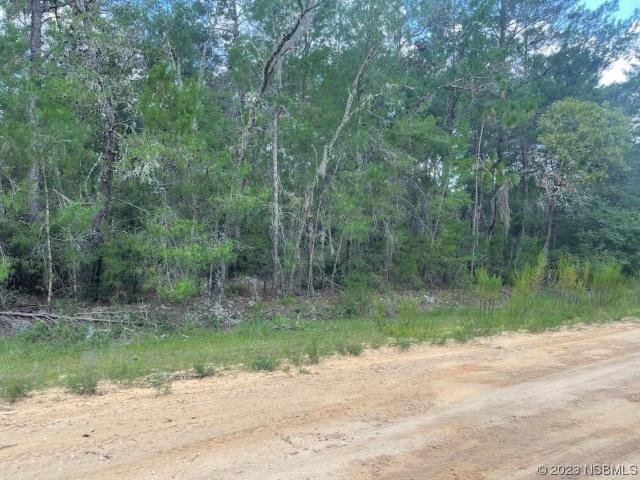 0 Linda St, Interlachen, FL 32148 | MLS #1076