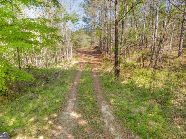 0 Lipham Rd, Franklin, GA 30217 | MLS #10505