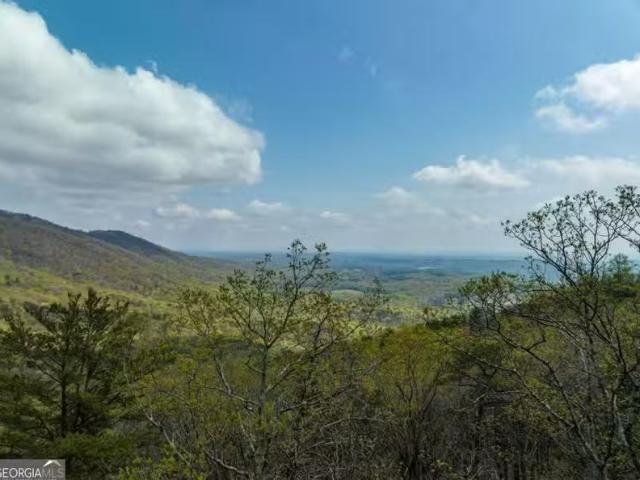 0 Little Hendricks Mountain, Jasper, GA 30143 MLS 10146600