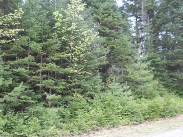 0 Little River Road Carroll NH for sale in Twin Mountain, New Hampshire