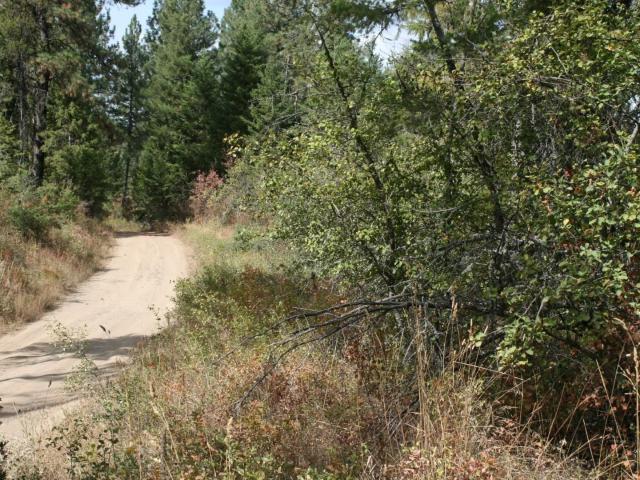0 Little Sweden Rd, Unit LOT B, Valley, WA 99181 | MLS #202620
