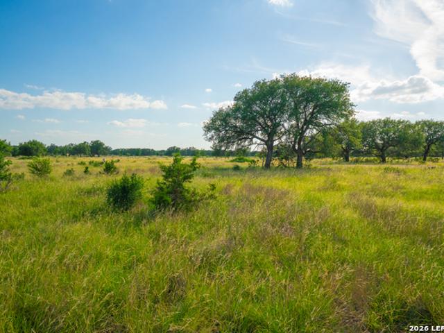 0 Live Oak Ranch
