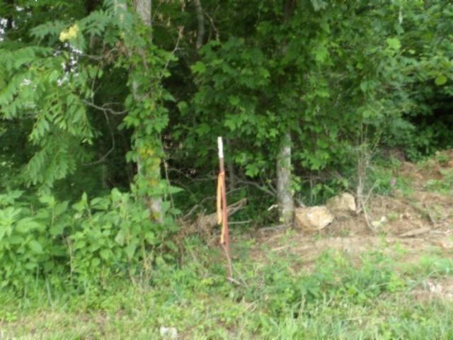 0 Livingston Hwy