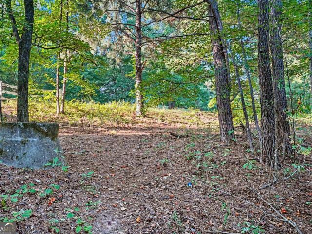 0 Locust Road