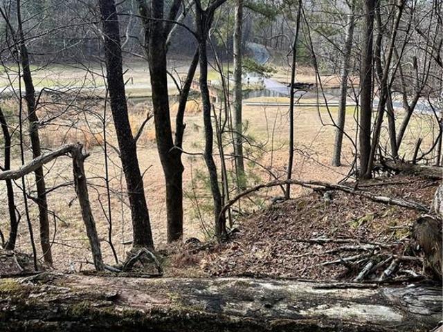 0 Log Swamp Drive