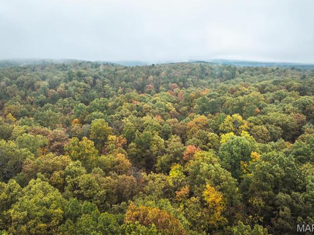 0 Lodge Tract 3a Rd, Potosi, MO 63664 | MLS #26015