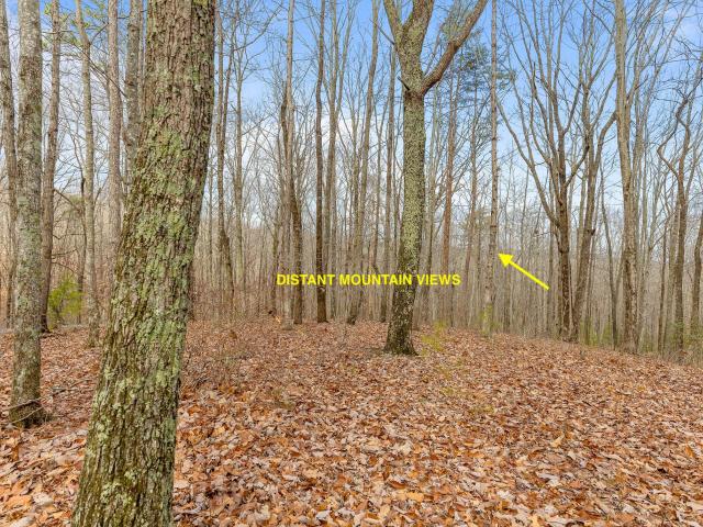 0 Lookout Crest Lane