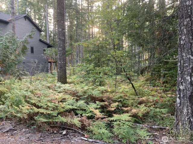 0 Loop Ln, Packwood, WA 98361 | MLS #2464 | Compass