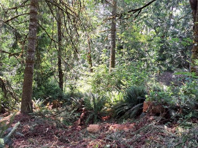 0 Loop Rd, Lot 1, Centralia, WA 98531 | MLS #2132