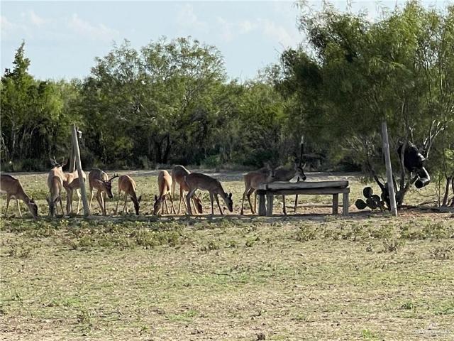 0 Loma Blanca Road