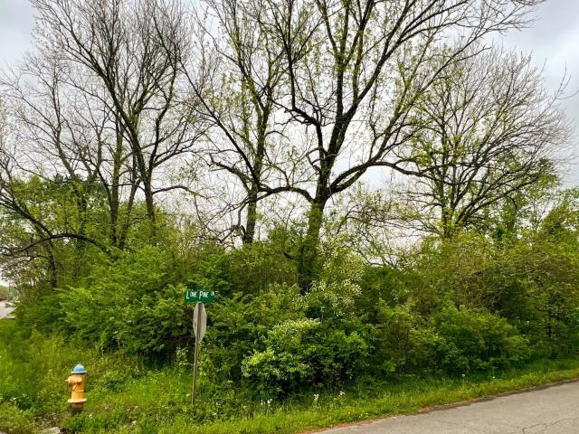 0 Lone Pine Dr, Lebanon, TN 37087 | MLS #2755