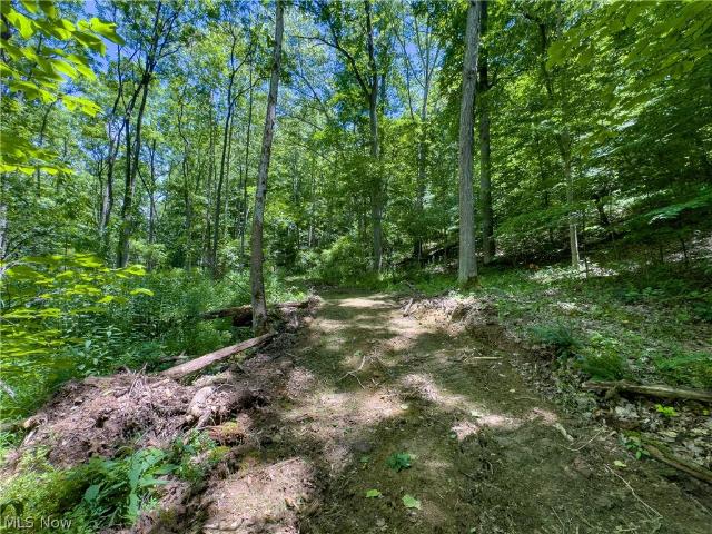 0 Long Hollow Road