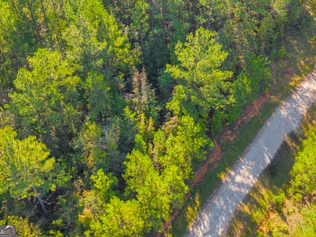 0 Long Pine Lane LOT 13