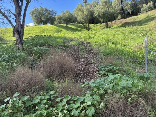 2830 Round Dr, Los Angeles, CA 90032 | MLS #SR26002