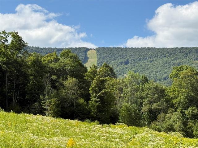 0 Lower Meeker Hollow Rd