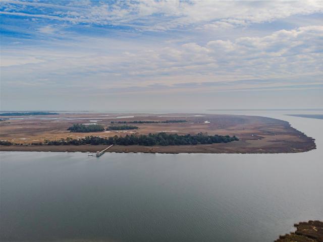 0 Lower Barbour Island, Townsend, GA 31331 | MLS #1660 | Compass