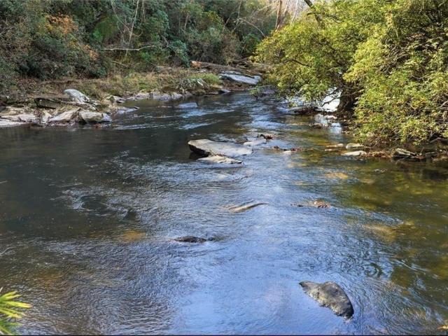 0 Lower Dowda Mill Rd, Jasper, GA 30143 | MLS #7684 | Compass