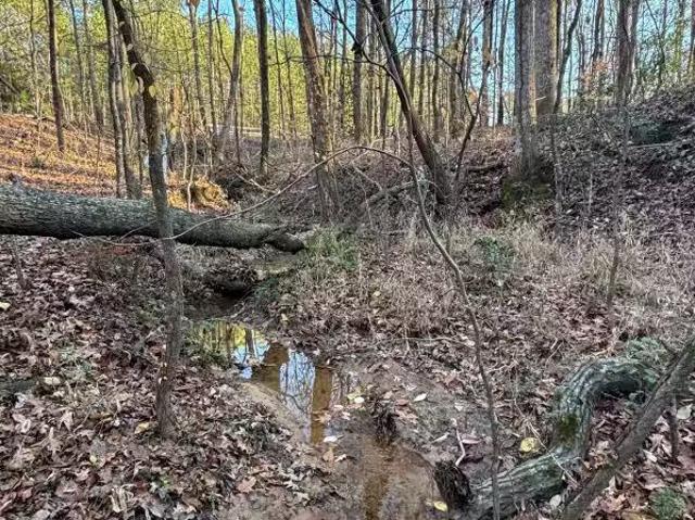 0 Lower River Rd, Covington, GA 30016 MLS 10461341