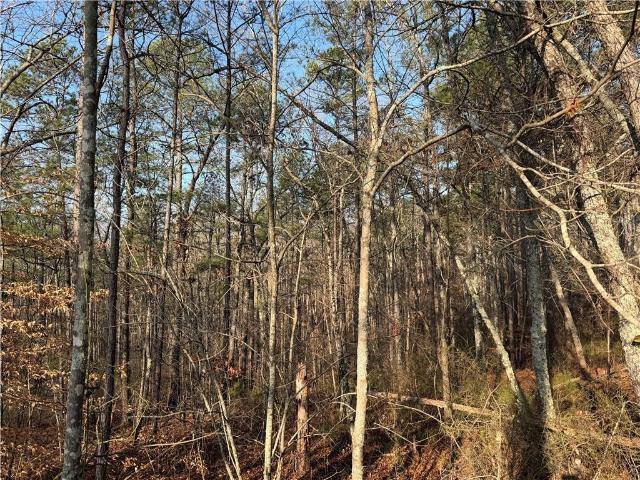 0 Lower Sweetwater Rd, Canton, GA 30114 | MLS #7724 | Compass