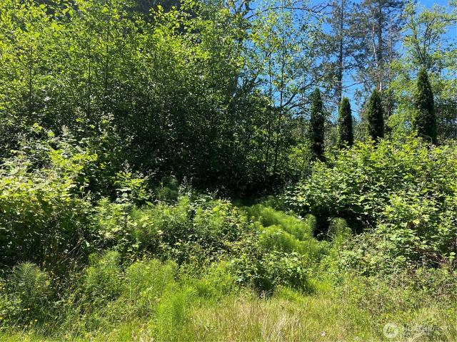 0 Lot 43 Jonna Drive