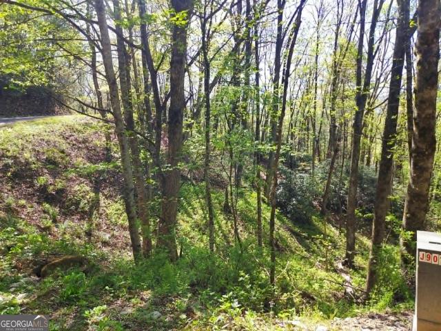 0 LOT 40 Pipetrack Gap Road