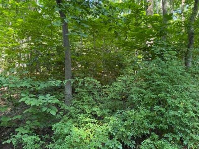 0 Lot 413 Easy Hollow Road # LOT 413