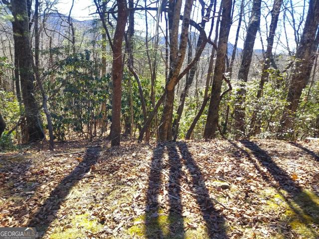 0 LOT 41 Pipetrack Gap Road