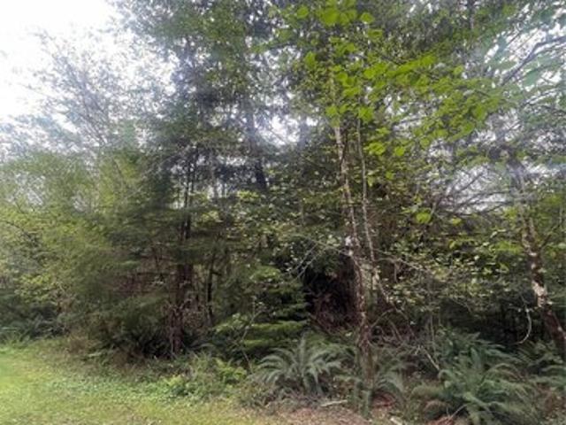 0 Lot 42 Bay Ln Lot 42, South Bend, WA 98586
