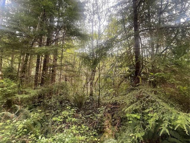 0 Lot 42 Bay Lane