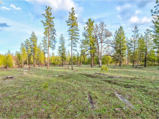 0 Lot 7 Greyback Mtn RD