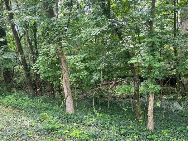 0 Lot 883 Horse Shoe Drive