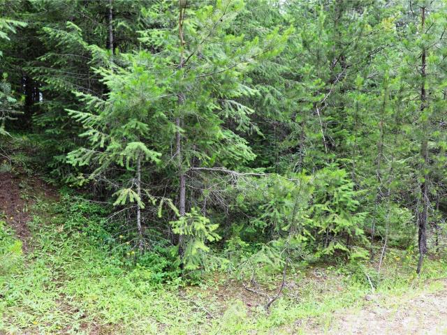 0 Lot 8B Diamond Drive