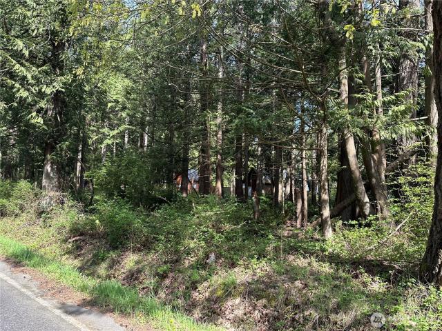 0 Lot 9 Tyee Drive