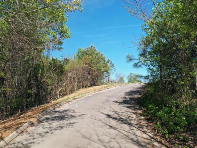 0 Lot 13 Elm Lane
