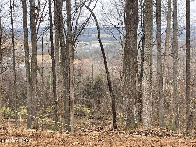 0 Lot 10 Poplar Drive