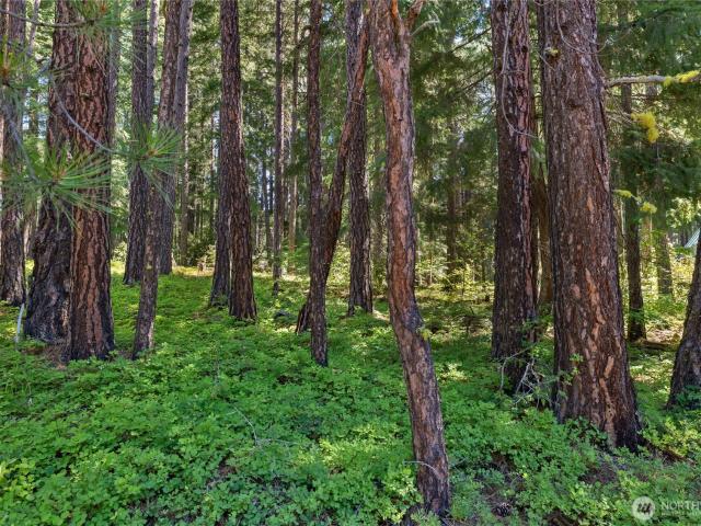 0 Lot 10 S Lake Cabins Road