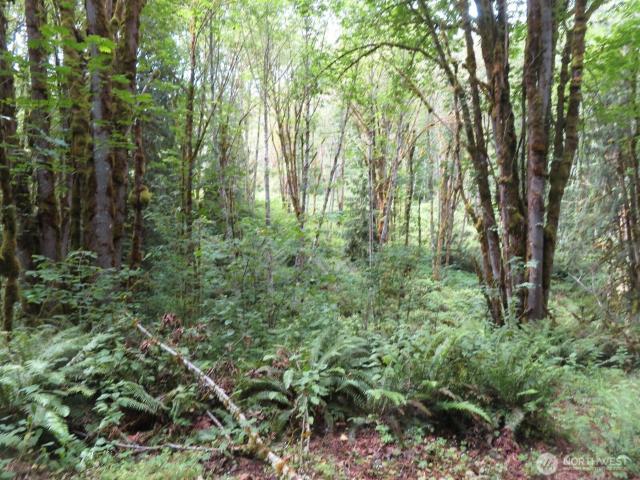 0 Lot 11 Valley View Drive