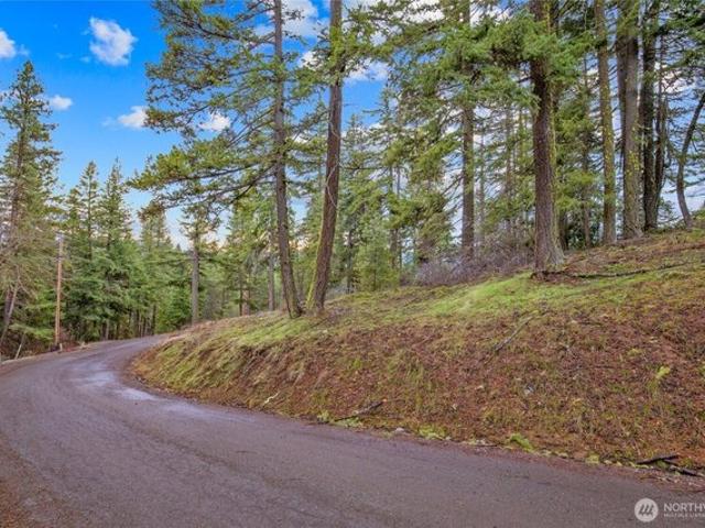 0 Lot 12 Pine Loch Sun Dr Lot 12, Ronald, WA 98940