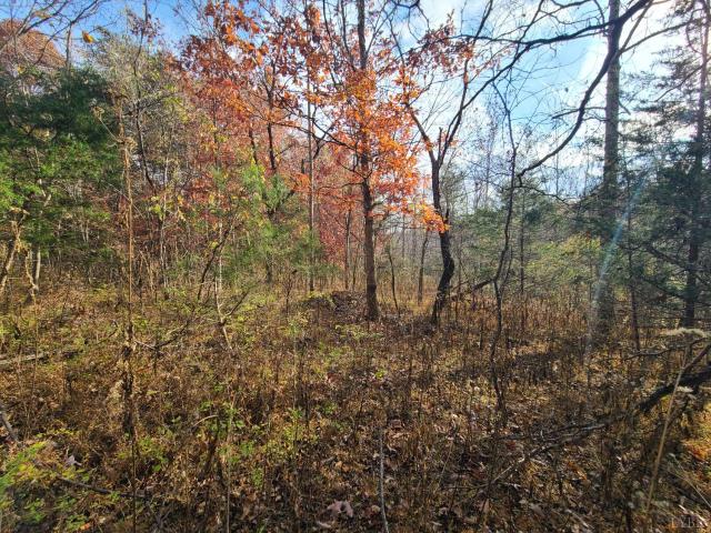 0 Lot 12 Pittsville Road