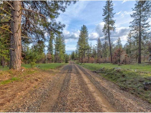 0 Lot 15 Greyback Mt RD