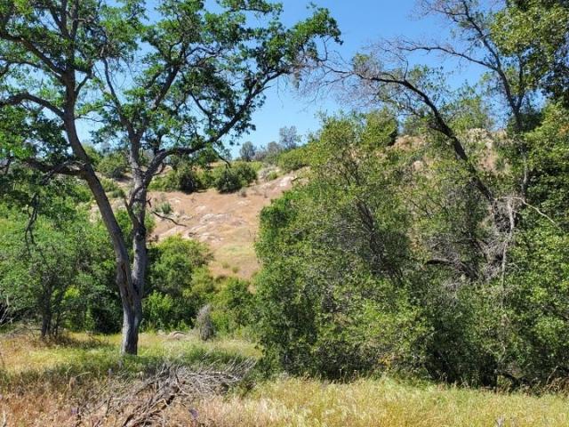 0 Lot 1952 Ranger Circle Drive