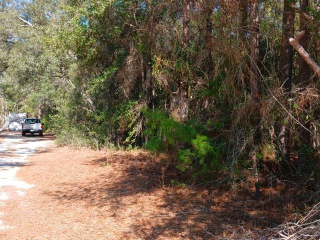 0 LOT 1 Owen Spatcher Road LOT 1