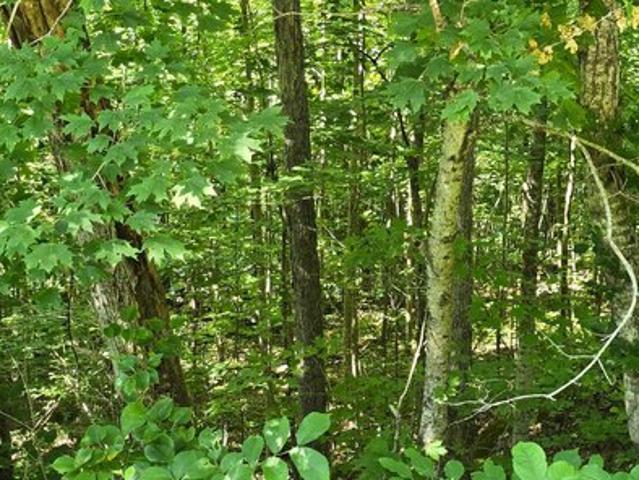 0 Lot 1, Burnside, KY 42519