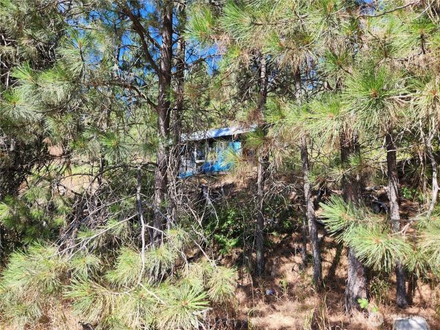0 Lot 1 Klondike Road