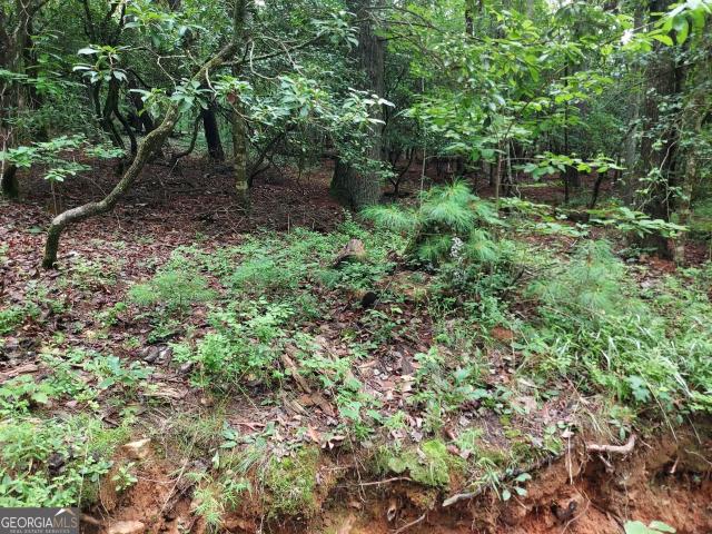 0 LOT 1A Wexford Way