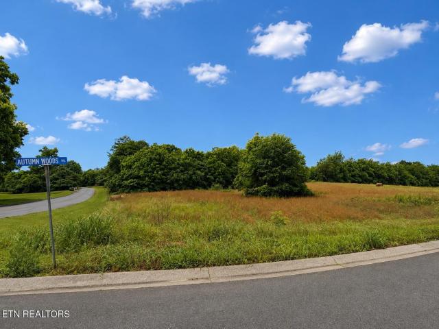 0 Lot 20 Autumn Woods Tr