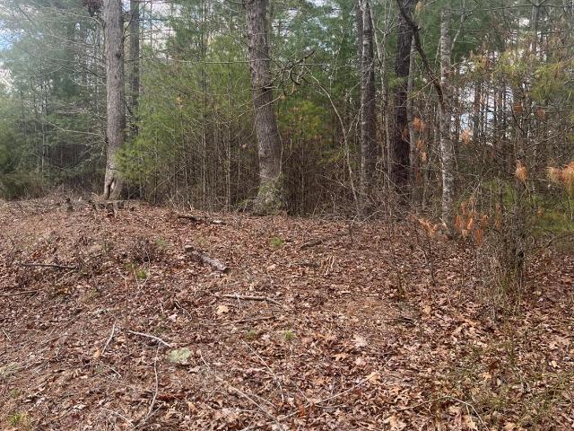 0 Lot 21 Blue Ridge Lane